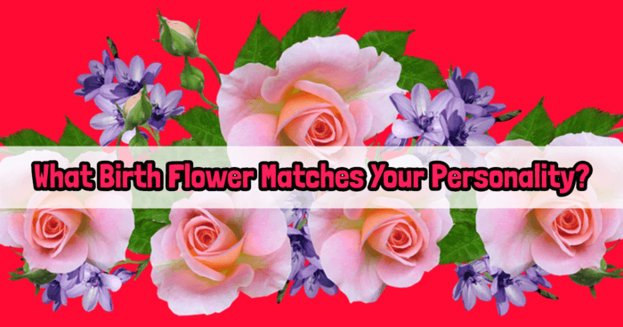 What Birth Flower Matches Your Personality?- Take the quiz