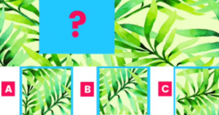 This Tricky Quiz Will Reveal If You’re Attentive To Details- Take the quiz