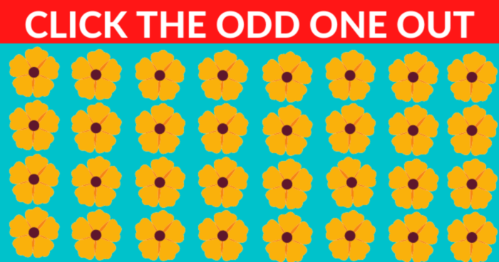 Are You Smart Enough To Pass This Odd One Out Test?- Take the quiz